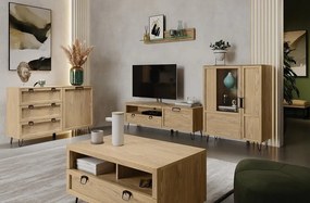Casarredo - Komfort nábytek Vitrína nízká ALTEA 15 2D dub artisan