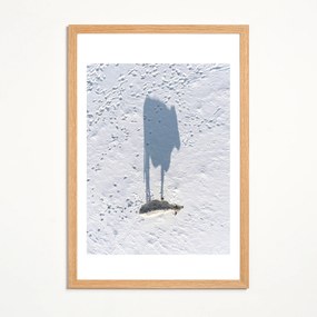 Tomáš Neuwirth | Stín ovce Rám: Černý, Velikost: 20 x 30 cm