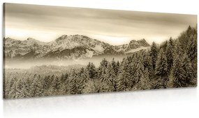 Obraz zamrzlé hory v sépiovém provedení - 100x50 cm