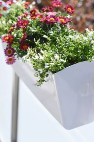 Balkonový truhlík BALKONA CLASSICO, plast, šířka 80 cm, bílý lesk