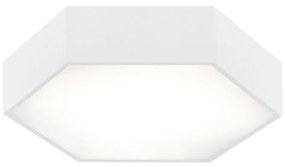 Argon | Argon 3827 - LED Stropní svítidlo ARIZONA LED/22,5W/230V bílá | AR3827