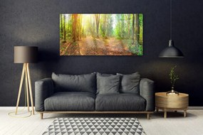 Plexisklo-obraz Slunce Příroda Lesní Stezka 120x60 cm