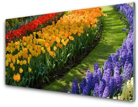 Obraz na skle Květiny Zahrada Tulipány 120x60 cm