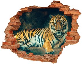 Wallmuralia Díra 3D fototapeta nálepka Tygr v jeskyni 90x70 cm