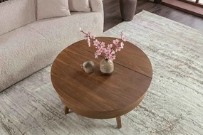 Designový konferenční stolek Rajnish 70 cm hnědé mango
