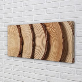 Obrazy na plátně plátky obilí dřeva 140x70 cm