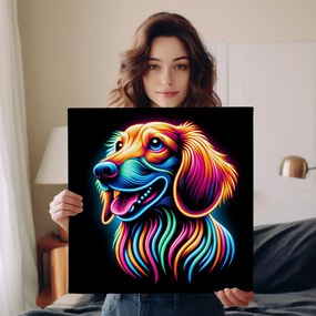 Obraz na plátně - Pes, barevný jezevčík FeelHappy.cz Velikost obrazu: 100 x 100 cm