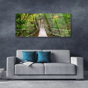 Plexisklo-obraz Most Džungle Tropický Les 125x50 cm