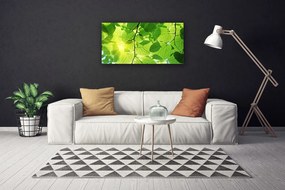 Obraz na plátně Listy Příroda Rostlina 140x70 cm