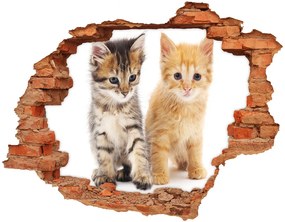 Wallmuralia Díra 3D fototapeta na stěnu Hnědá a červená kočka 90x70 cm