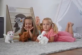 STEPPOS Interaktivní pejsek hnědý / od 3 let