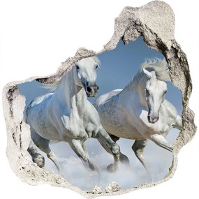 Wallmuralia Fototapeta díra na zeď Koně ve cvalu 75x75 cm