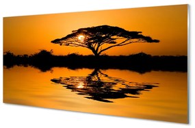 akrylový obraz Sunset tree 125x50 cm