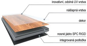 Hanflor Rigid Plus SPC Click 20507