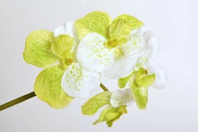 Hitra Květina / větev orchidej zeleno-bílá 26cm