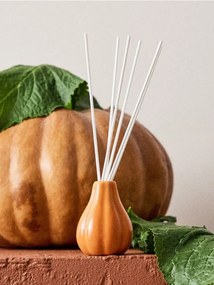 Sinsay - Vonný difuzér s tyčinkami Autumn Chai - oranžová