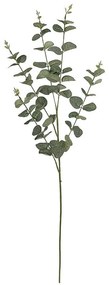 NN BV Eukalyptus zelený - 98cm