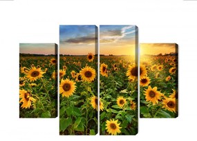 Vícedílný obraz Slunečnicové Pole Při Západu Slunce 3D Nedostatek Nedostatek Plátno Canvas 120x90
