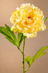Paramit BLOOMING PEONY Aranžovací květina žlutá 77 cm