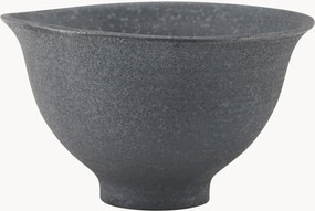 Mísa Pion