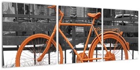 Obraz oranžového kola