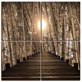 Obraz na plátně - Dřevěná promenáda v bambusovém lese - čtverec 3172FE (100x100 cm)
