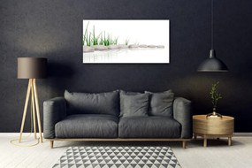 akrylový obraz Kameny Tráva Umění 100x50 cm
