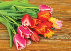 Malvis ® Tapeta Tulipány v teplých barvách Vel. (šířka x výška): 360 x 260 cm