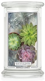 Kringle Candle svíčka Succulents (sójový vosk), 623 g