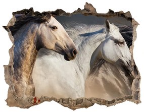 Wallmuralia Díra 3D fototapeta nálepka Koně ve cvalu 95x64 cm