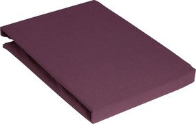 XXXLutz PROSTĚRADLO, fialová, 90/200 cm Novel - Prostěradla - 003580048006
