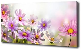 Wallmuralia Foto obraz canvas Květiny na louce 100x50
