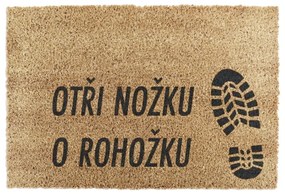 Rohožka z přírodního kokosového vlákna Artsy Doormats Otři Nožku, 40 x 60 cm