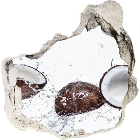 Wallmuralia Nálepka 3D díra Kokos s vodou 75x75 cm