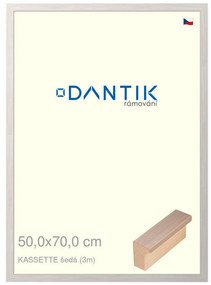 DANTIK rámeček 50x70 | KASSETTE šedá (Plexi Čiré)