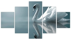 Obraz - Bílá labuť (125x70 cm)