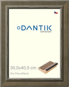 DANTIK rámeček 30x40 | Oro Fino stříbrná (Plexi Čiré)