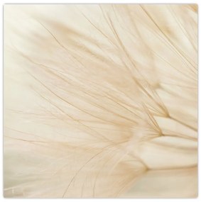 Obraz - Detaily květu (30x30 cm)