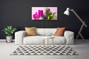 Obraz na plátně Květ Kameny Zen Rostlina 100x50 cm