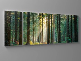 Liox Obraz tichý les Rozměr: 125 x 50 cm