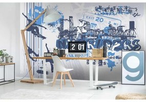 DIMEX | Samolepicí vliesová fototapeta na zeď Skate MA-5-0313 | 375 x 250 cm | modrá, šedá