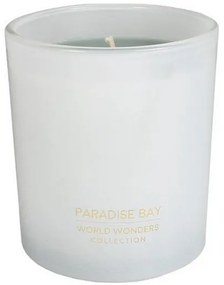 My Flame Lifestyle Luxusní sojová svíčka  My Flame - Paradise Bay, 230 g