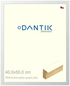 DANTIK rámeček 40x50 | PERLA bílá lesklá vysoká (Plexi Čiré)