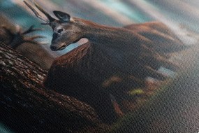 Obraz jelen v borovicovém lese