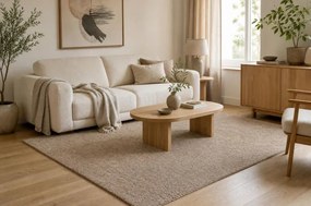 Koberec DUNE WOOL 497 01 TM621 béžový / hnědý