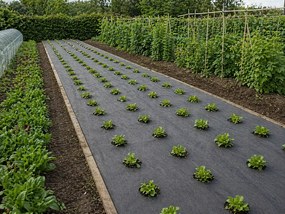 DIVODV Hustá agrovlákna 50 g, 1,5 m × 50 m, protiburinová mulčovací rohož, černá