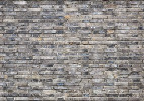 Postershop Fototapeta vliesová: Cihlová zeď (5) - 254x368 cm