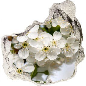 Wallmuralia Samolepící díra nálepka Květy višně 75x75 cm