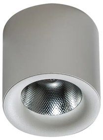 LED bodové světlo Mane 20W Dimm bílé