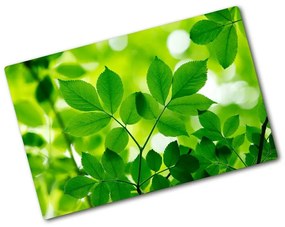 Wallmuralia Deska na krájení skleněná Zelené listí 80x52 cm